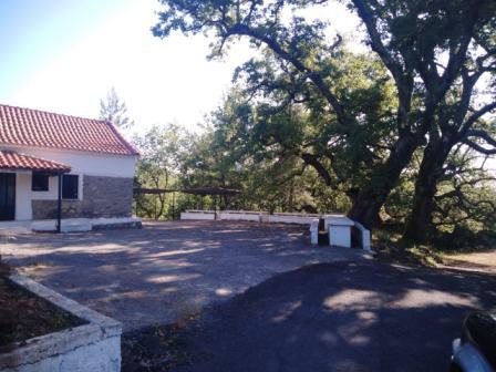 ΜΕΓΑΛΟΠΟΛΗ ******* Η. Δική.σου.Φωνή.: Ιουνίου 2019
