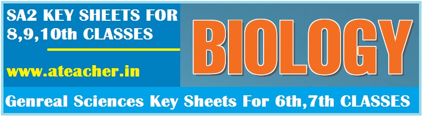 SA2 BIOLOGY Science Answers Key Sheet 6th 7th 8th 9th 10th Class sa2-biology-science-answers-key-sheet-6th-7th-8th-9th-10th-class