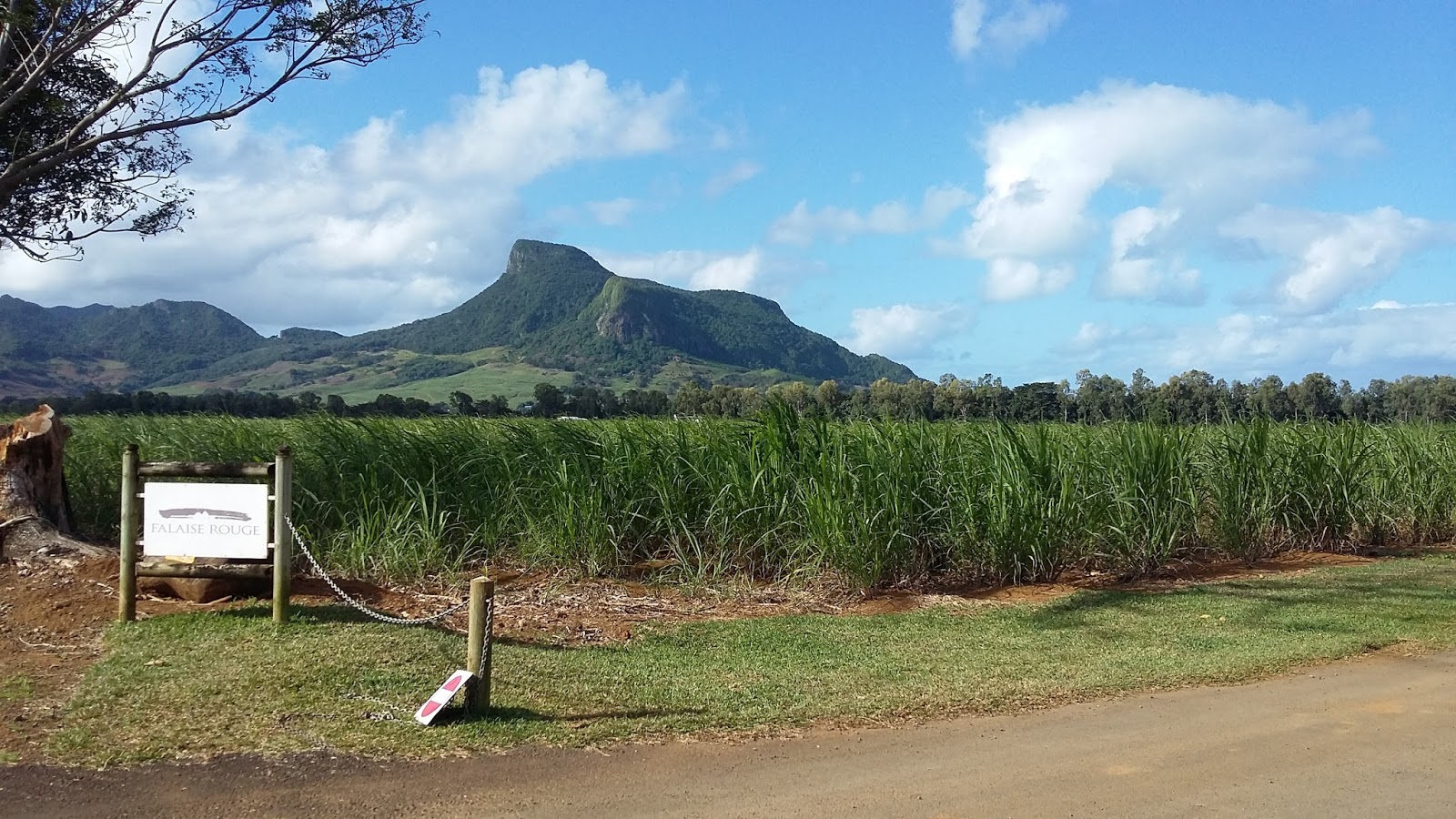 Go with Henry: Falaise Rouge, Sugar plantations & Dutch landing monument