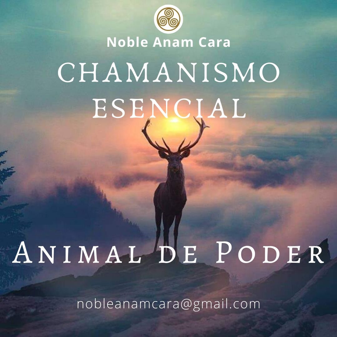 NOBLE ANAM CARA: Chamanismo Esencial: ANIMAL DE PODER