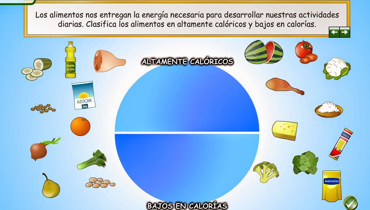 Biología y Geología Toni: 3º ESO. TEMA 4. NUTRICIÓN ALIMENTACIÓN Y SALUD