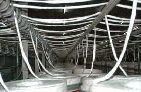 Métodos de Hilados: Proceso de Cardado y Peinado