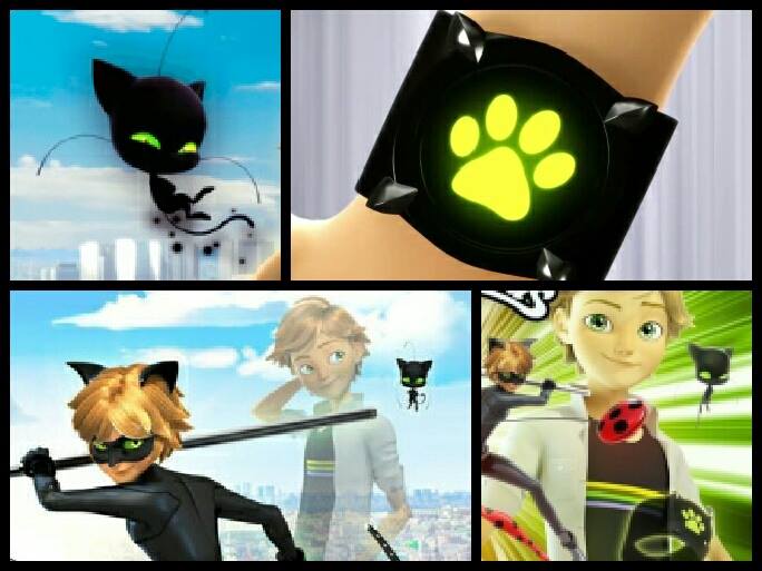 Miraculum nasza pasja: 12| Właściciele miracul