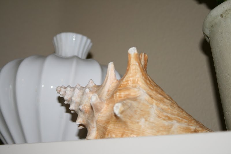 everything to entertain: Summer and the 4th of July