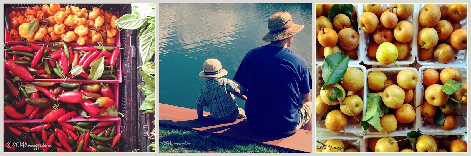 Notes from Maggie's Farm: 2015 AFBA City Guide A Guide to Farmers ...