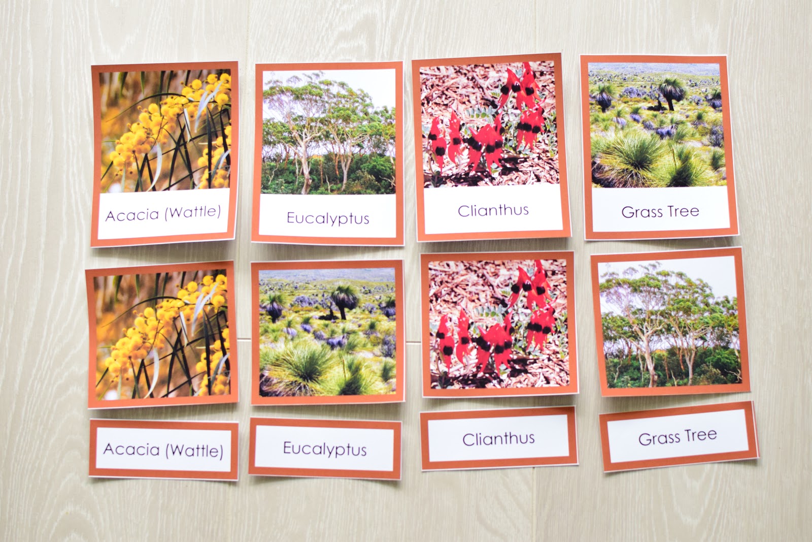 Oceania/Australia in a Nutshell - New Edition | The Pinay Homeschooler