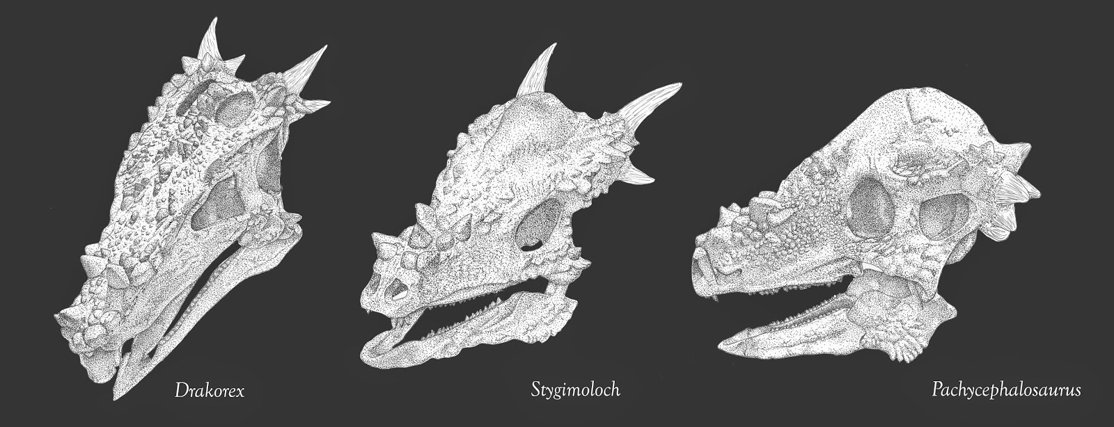 Dinosaur Renaissance: Aprende con Primeval: Pachycephalosaurus