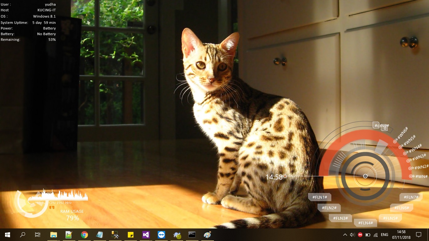 Windows 10 Dengan Tema Kucing ~ Yudha's World