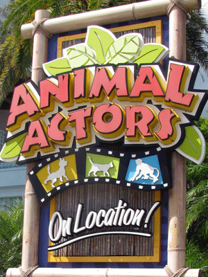 Universal Landing: Animal Actors on Location