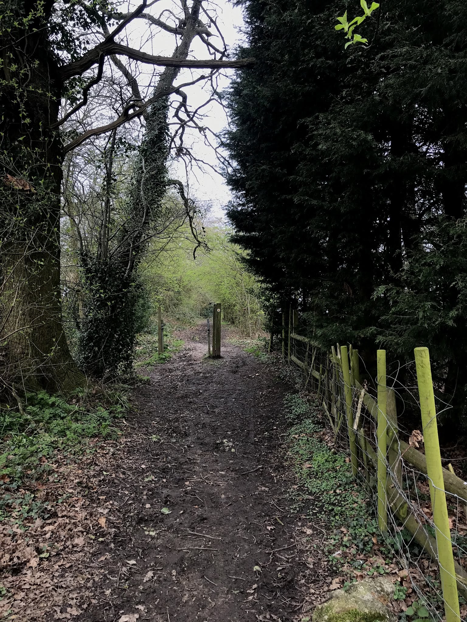 Wythall Walks - Circular Countryside Walk no.3 (again)