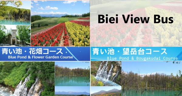 Biei Tour by Biei View Bus 2023 - Hokkaido, Japan