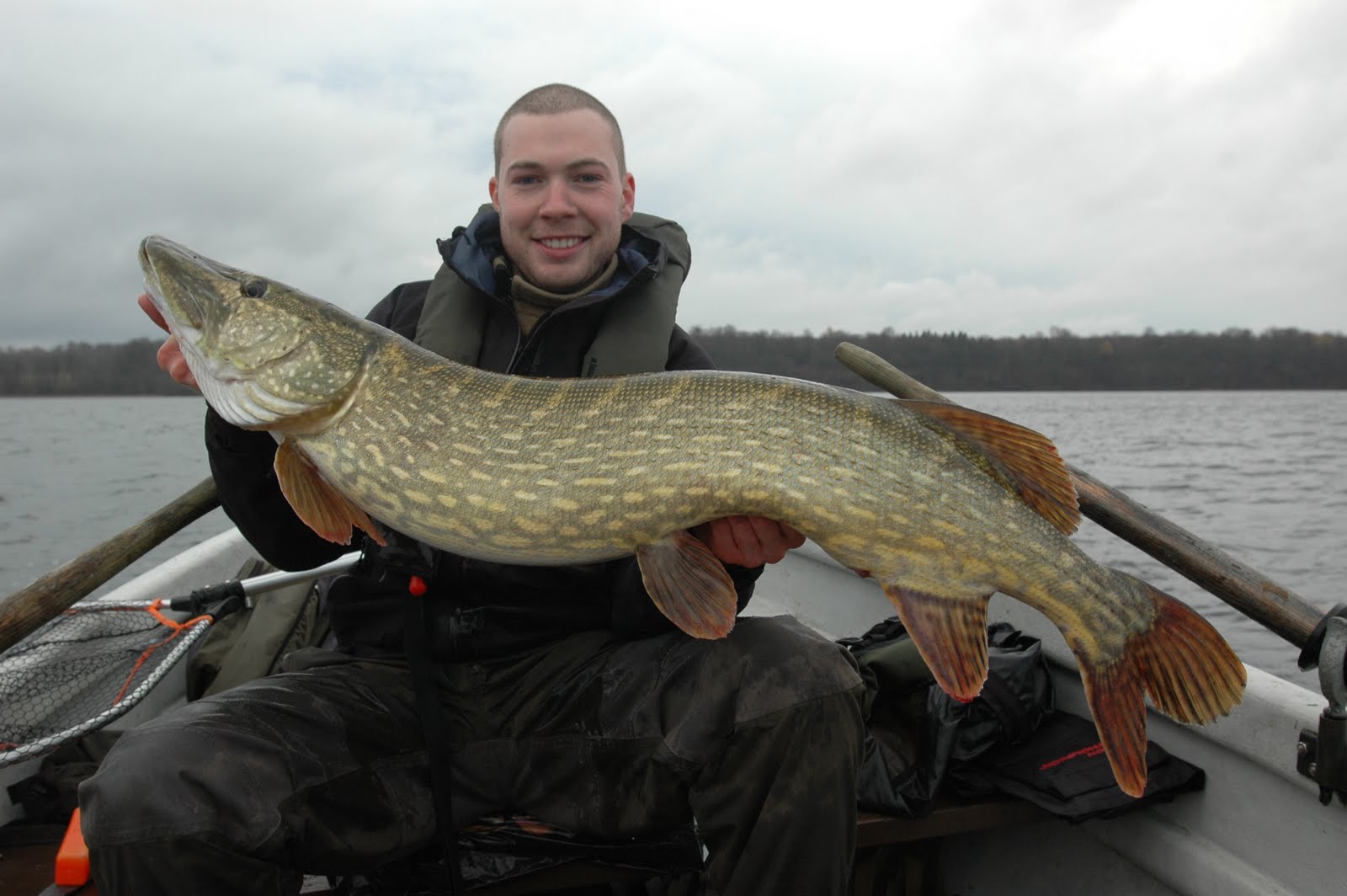 Everything With Teeth: Galleri Rovfisk