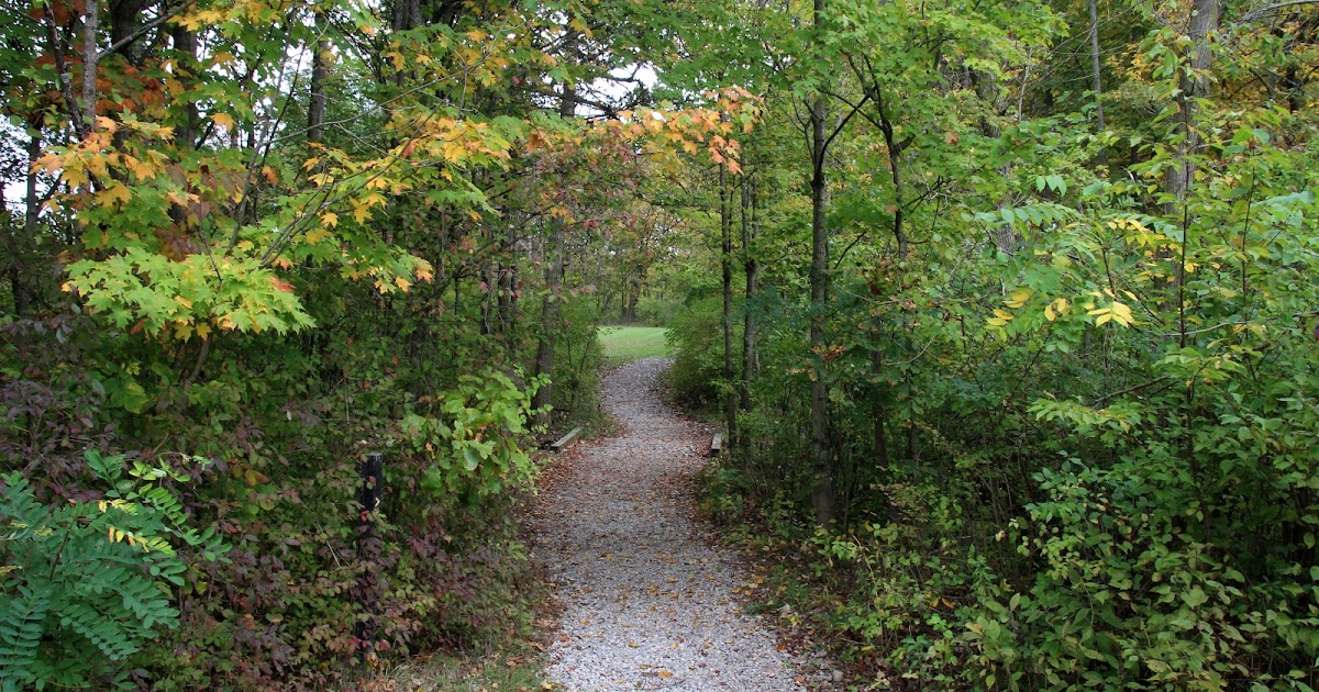 To Behold the Beauty: An Early Fall Assortment