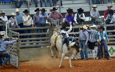 the other paper: Arcadia All-Florida Championship Rodeo Is A Bucking ...
