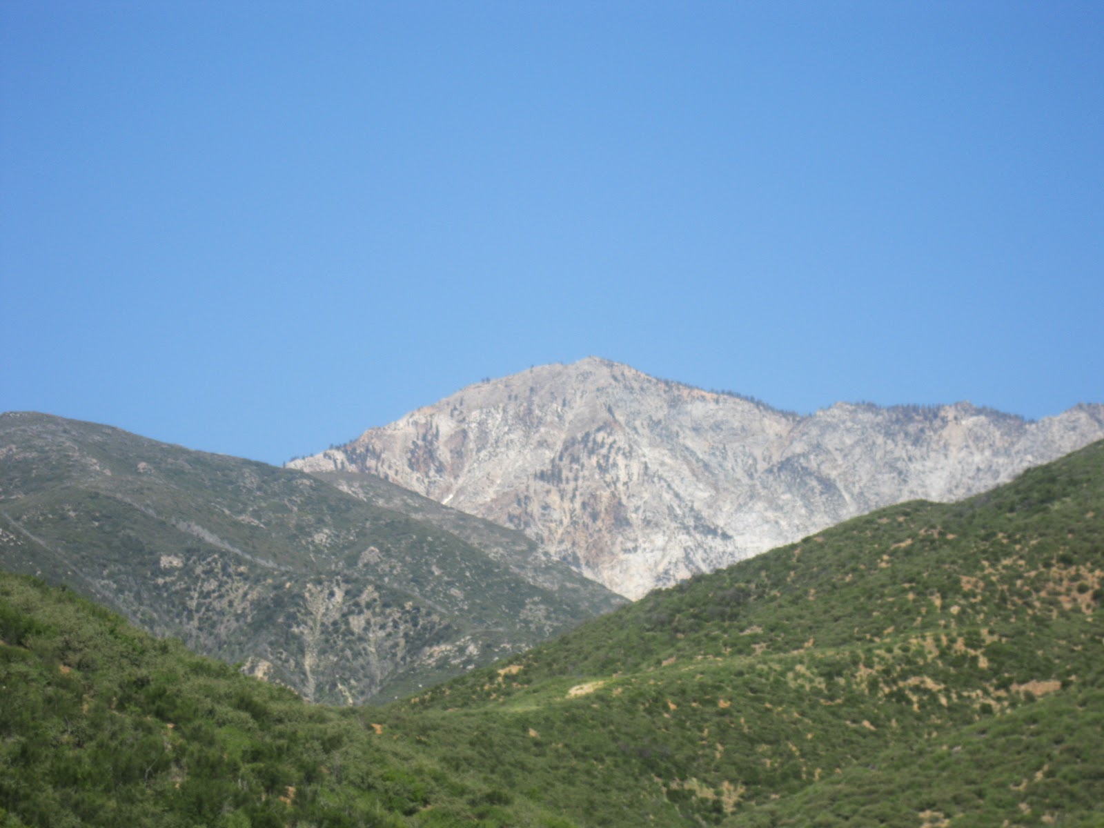 Wildlife in Southern California: Ecosystems