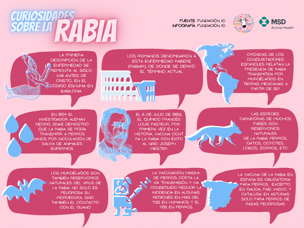 EMS SOLUTIONS INTERNATIONAL by @DrRamonReyesMD marca registrada: La ...