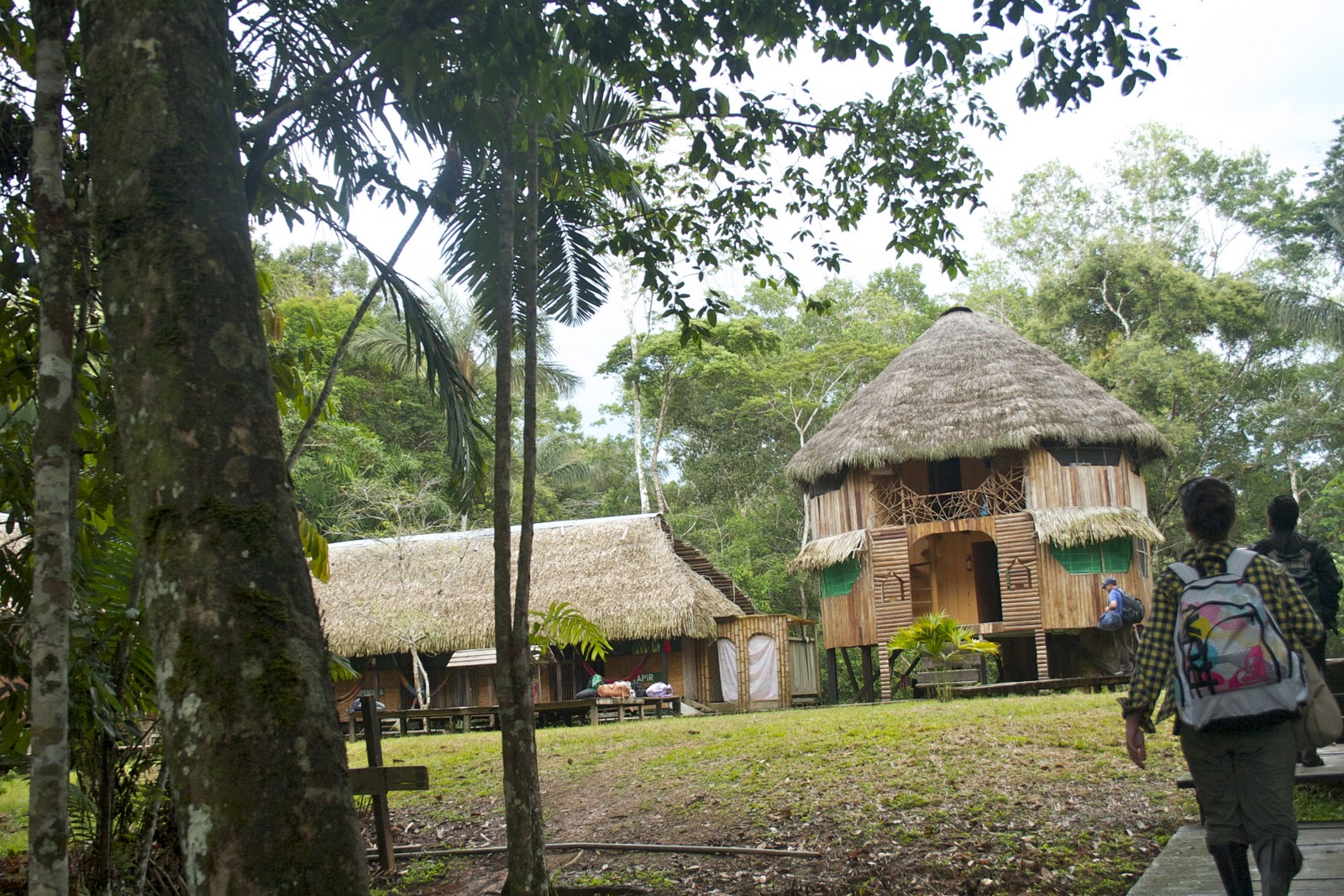 La Amazonía: auténtica conexión con la naturaleza | EntreTintas