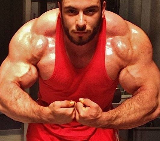 world bodybuilders pictures: french beautiful fitness model and ...