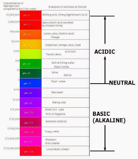 Kaylen's Discus Blog: Understanding pH, KH, GH in Home Aquariums