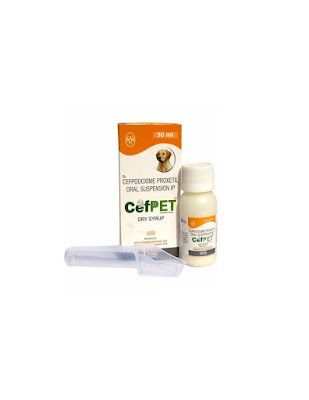 Intas Animal Health Products: Cefpet 30 ml dry syrup bottle | Intas ...