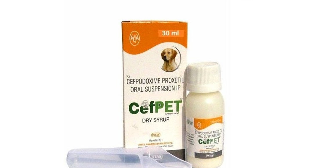 Intas Animal Health Products: Cefpet 30 ml dry syrup bottle | Intas ...