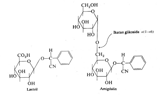 Mengenal Kitin dan Heparin