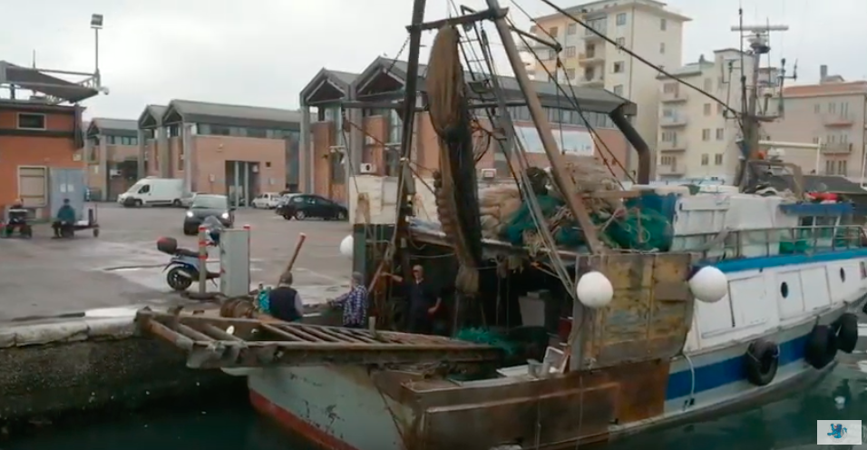 PAGINA DELLA PESCA: IL RELITTO DI UNA SCALA GIGANTESCA ROMPE LE RETI ...