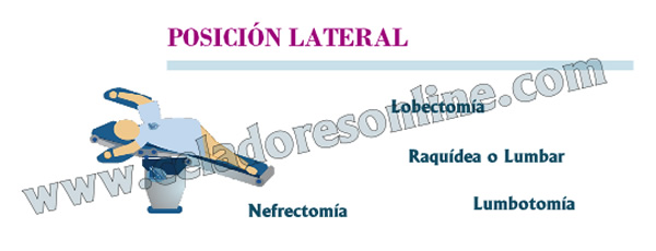 CELADORES ONLINE de INSTITUCIONES SANITARIAS: Tema 9. Ejes y Planos del ...