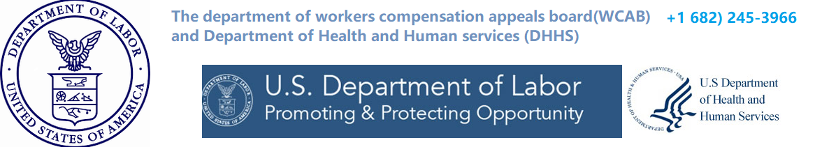 WCAB & DHHS GRANTS: GRANTS OPTIONS