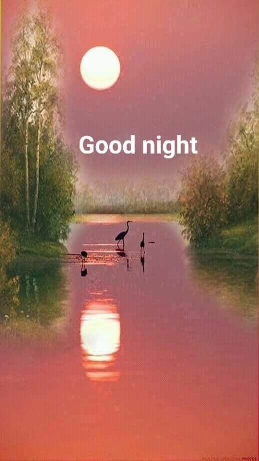 Good Night Images Download