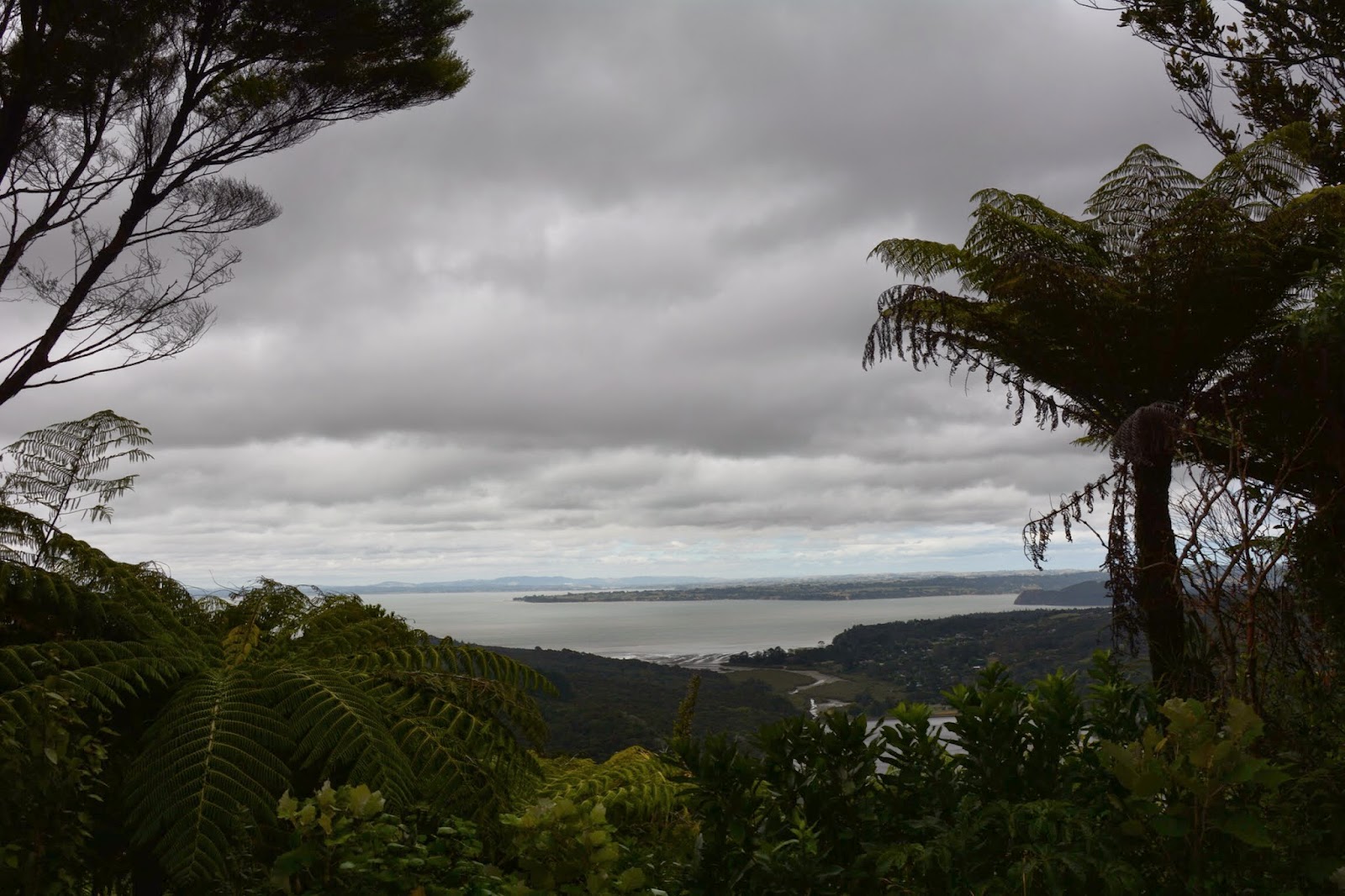 PL Fallin Photography: Waitakere Range Park, Arataki Visitor Center New ...