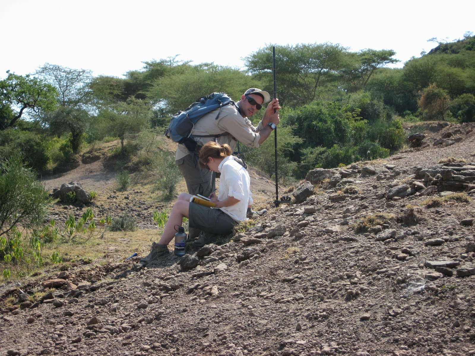 The Mermaid's Tale: The Ape In the Trees