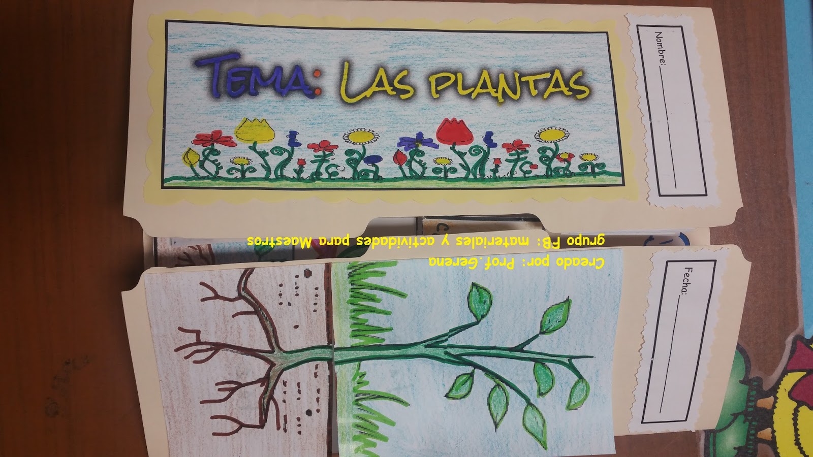 Materiales y actividades para Maestros: Lapbook Plantas