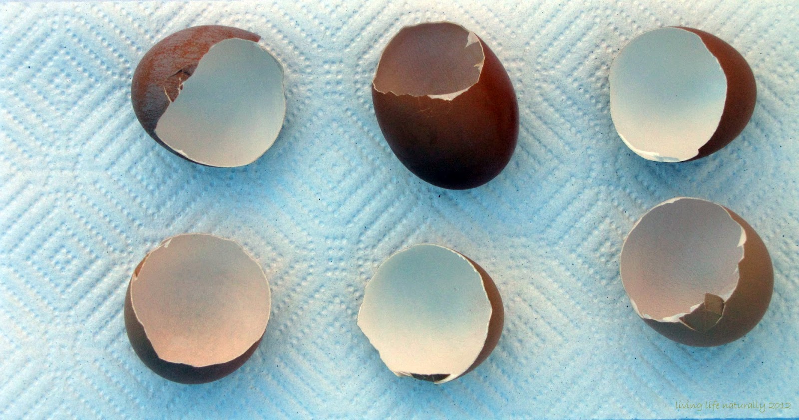 living life......naturally!: Its Easter Week...how about an easy craft ...