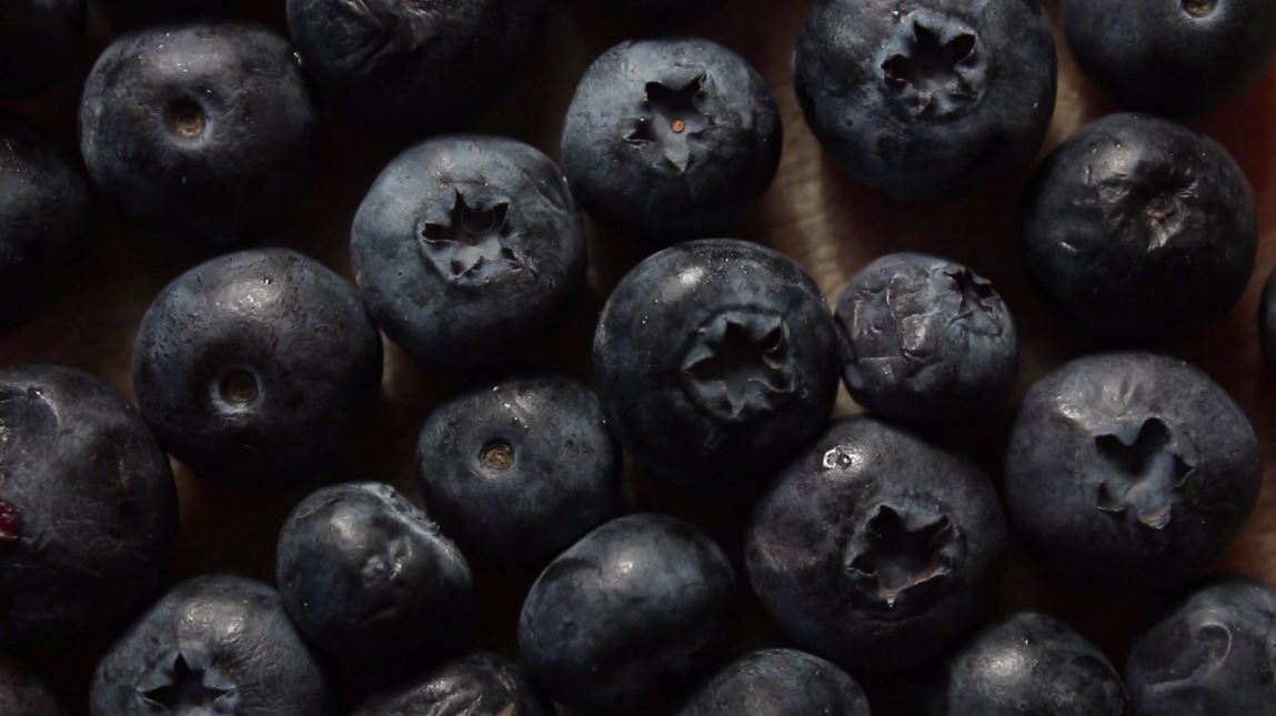 The 99 Cent Chef: Blueberry Pancakes - Video Recipe