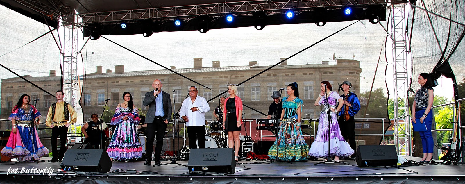 Foto Blue Butterfly: DON WASYL