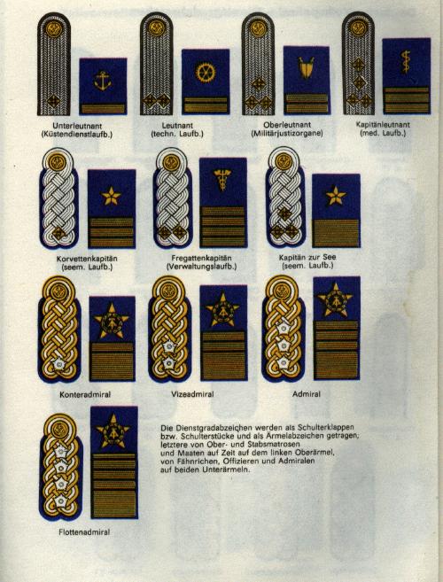DECODED: The Cold War in Europe 1945-1995 : Structure of the School of ...
