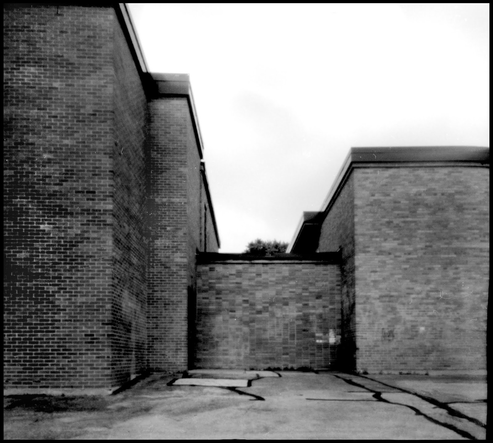 Pinholica: The cult of The Risen Pinhole