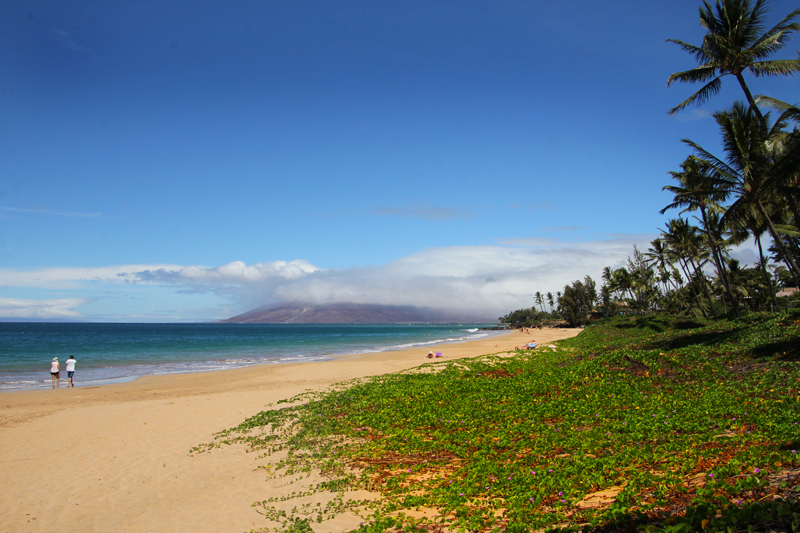 From Beaches to Peaches!: August 2016