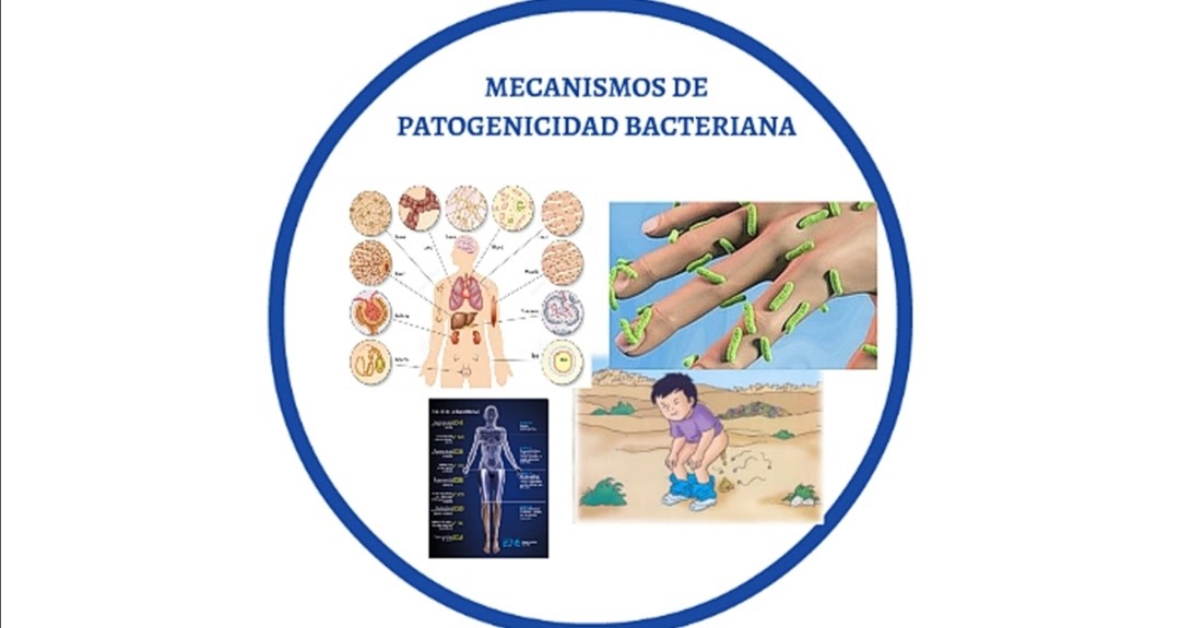 Mecanismos de la patogenia bacteriana