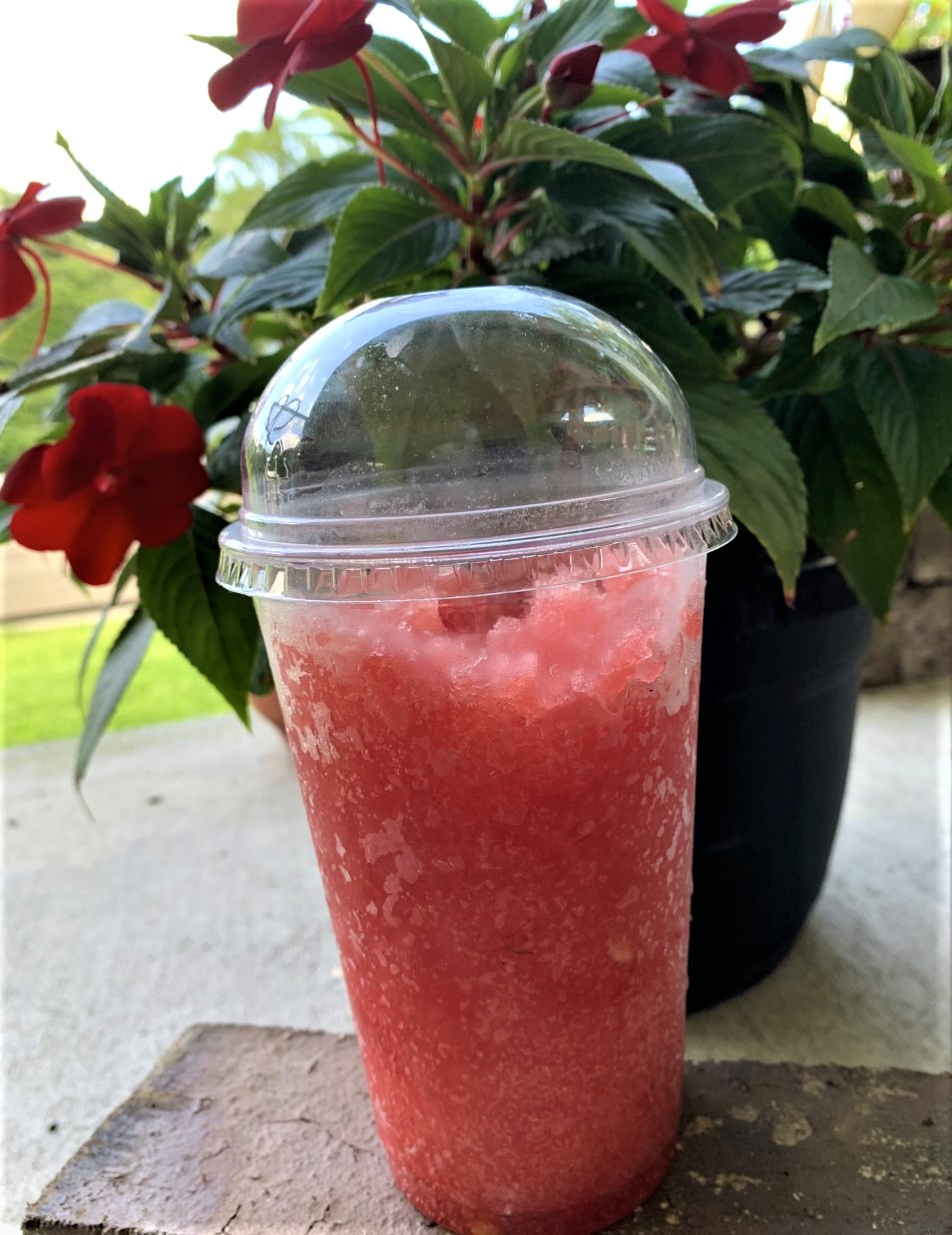 Best of Long Island and Central Florida: Vodka Watermelon Icee
