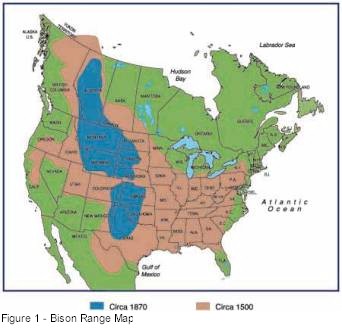 "Where the Buffalo Roam": Let's get to know the Thunderbeast