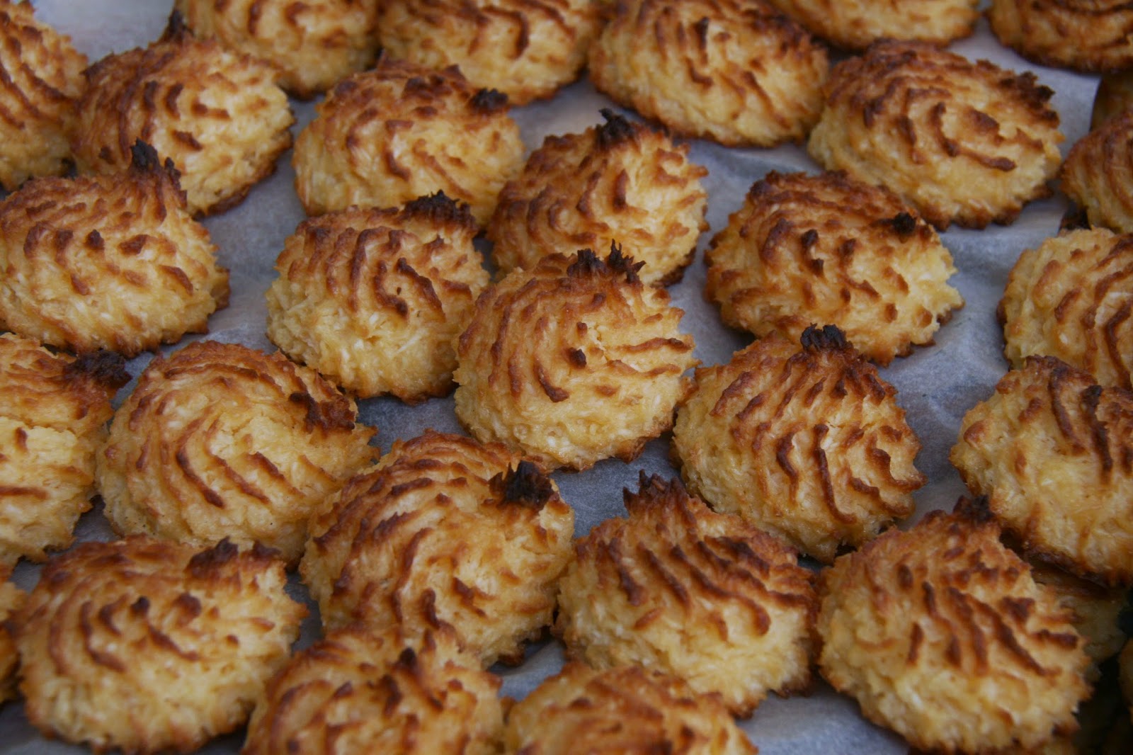 El sabor de México.: Cocadas