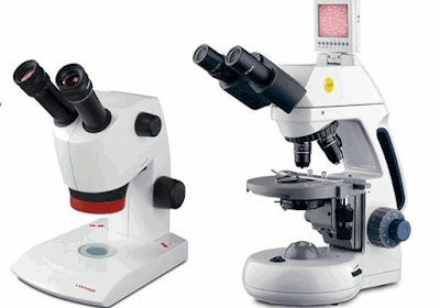 Biología UTP: MICROSCOPÍA