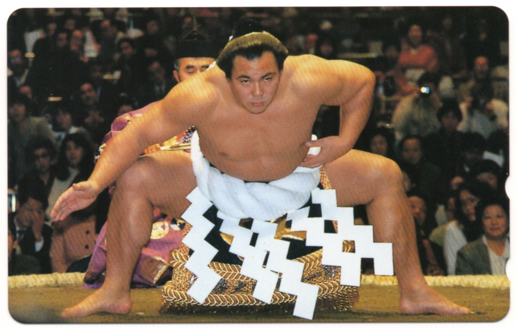Japanese Sumo Wrestling Cards and Menko: 1991 NTT Japanese Telephone ...