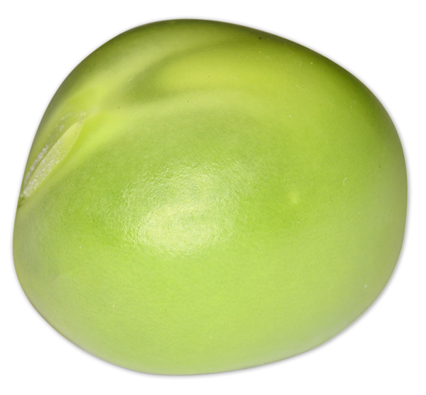 @GlutenFreeG: Protes Gluten Free Product Review