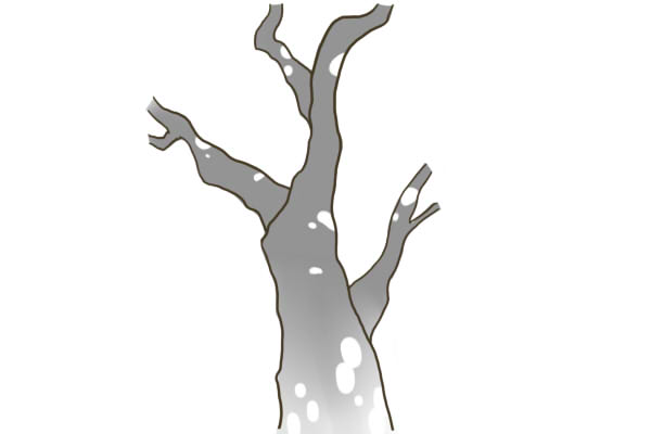 How to draw a tree trunk - Draw Lines Art