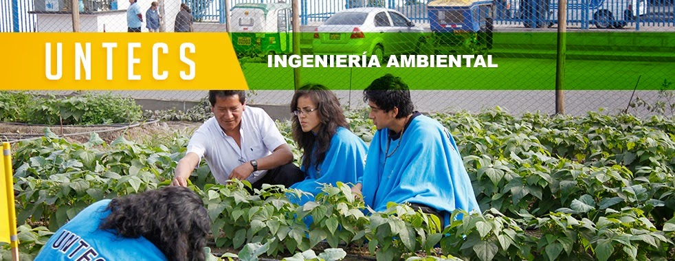 UNIVERSIDAD NACIONAL TECNOLOGICA DE LIMA SUR: UNTELS