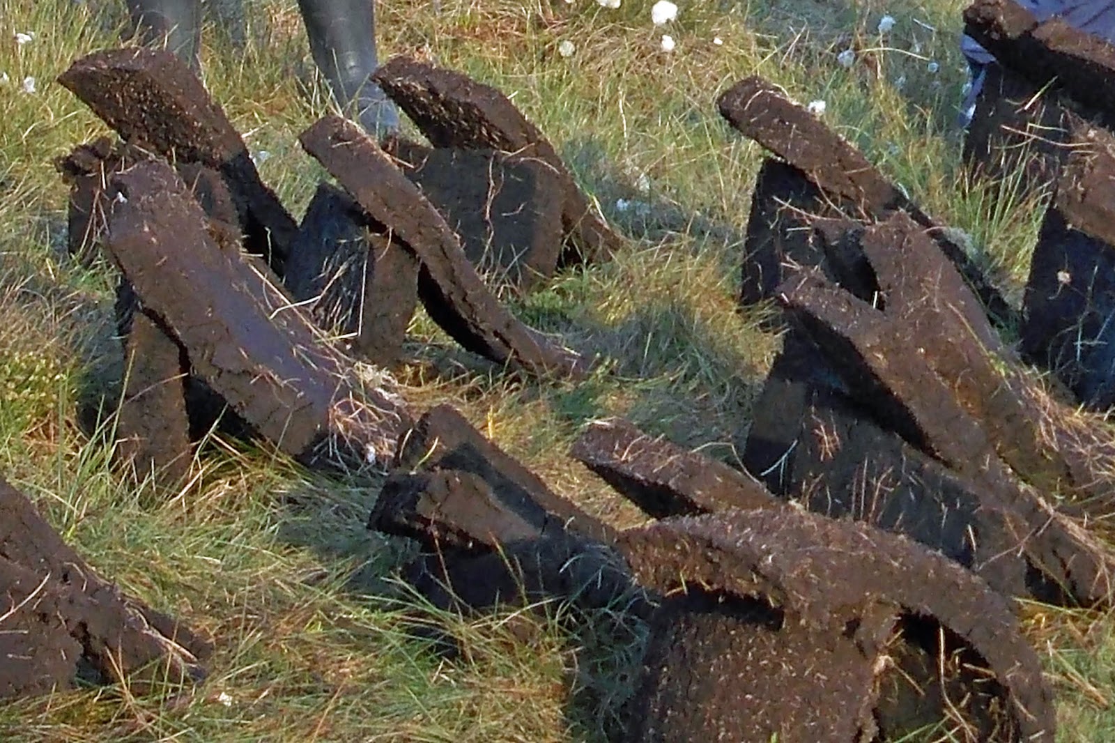 Dumfries and Galloway: A Regional Ethnology: Peat Cutting on Middlemoss ...