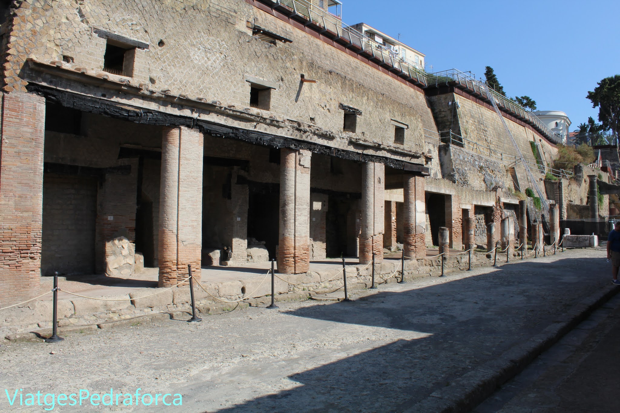 EL VESUVI I HERCULÀ, CRÒNICA D'UNA ERUPCIÓ ANUNCIADA